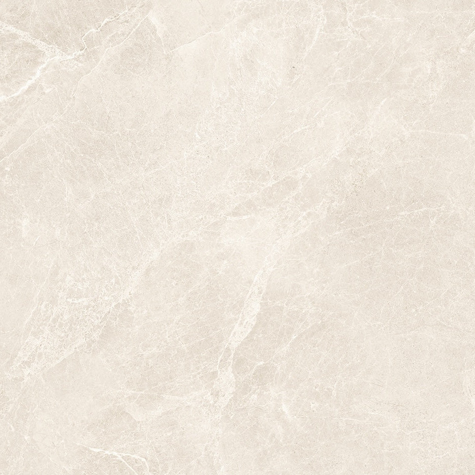 24"x48" Swan Bone Rectified Polished Porcelain Tile – NG KUTAHYA USA
