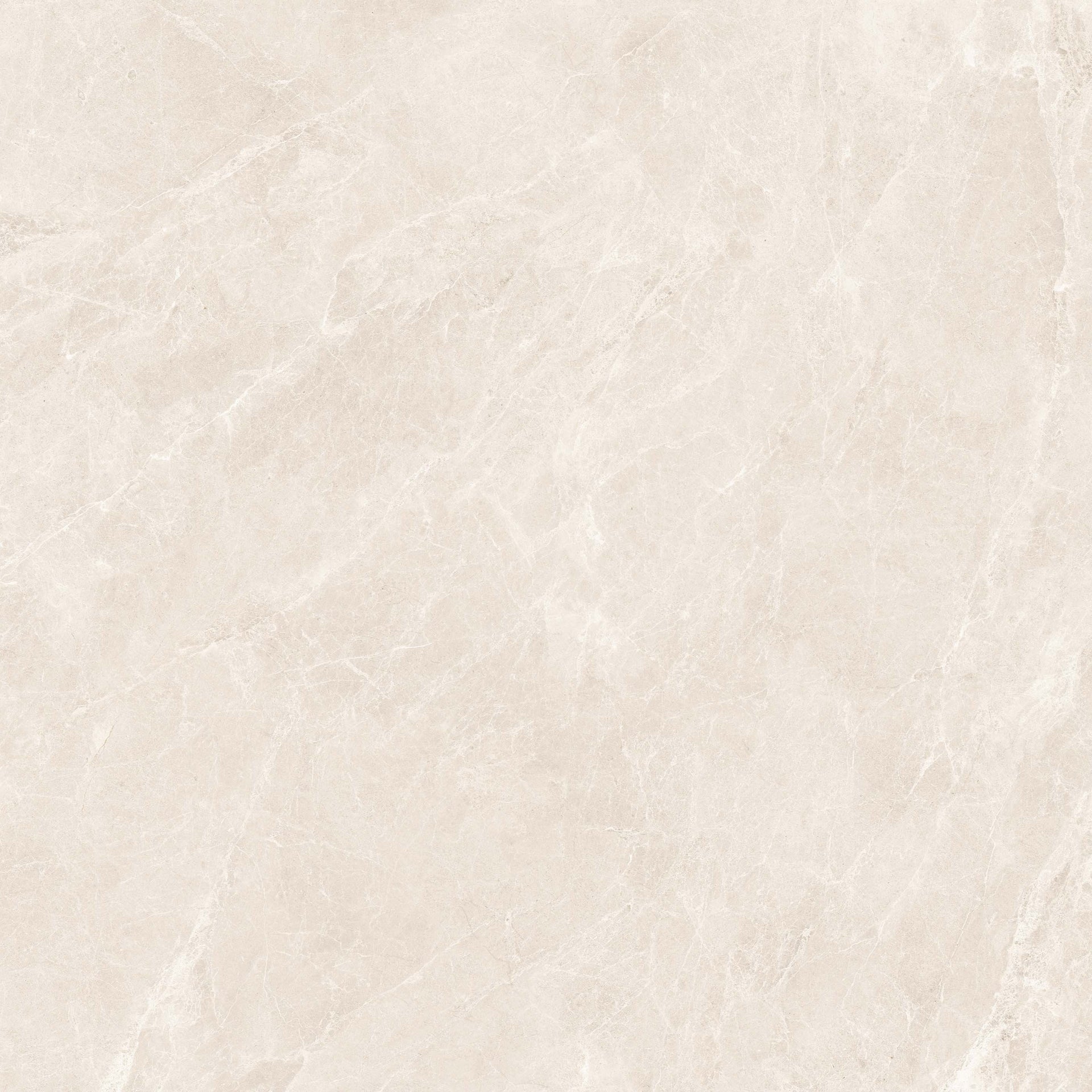 64"x 128" Swan Bone Porcelain Slab – NG KUTAHYA USA